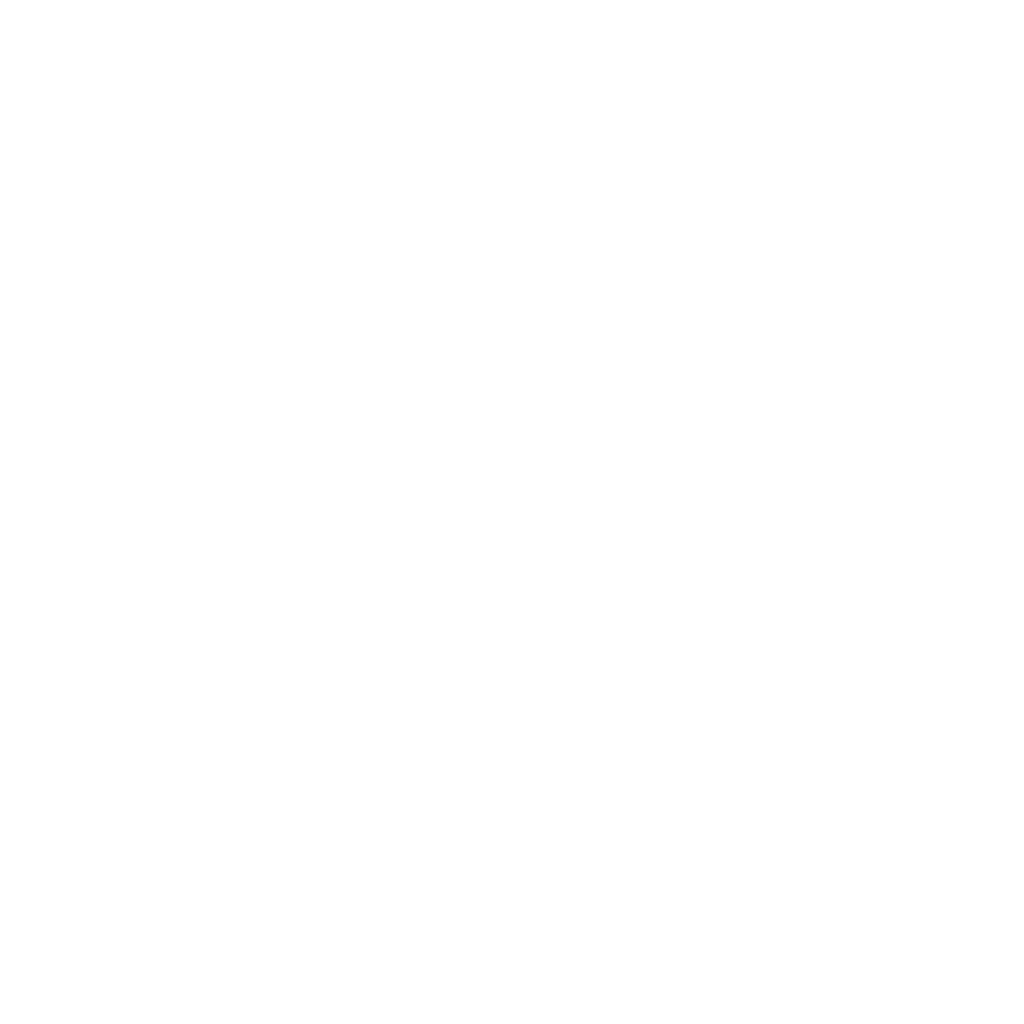 Our History - The Daily Rae